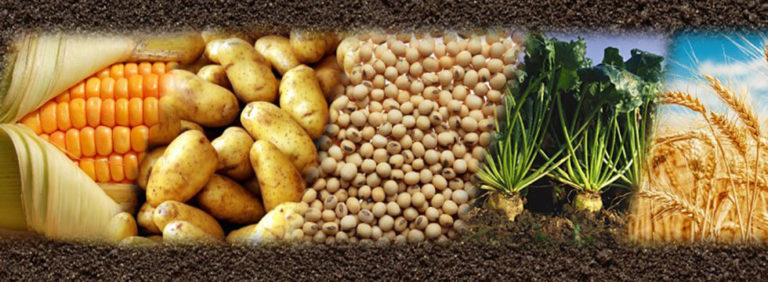 From Grape To Potato – What On Earth Is Vodka Made From - Wine and ...
