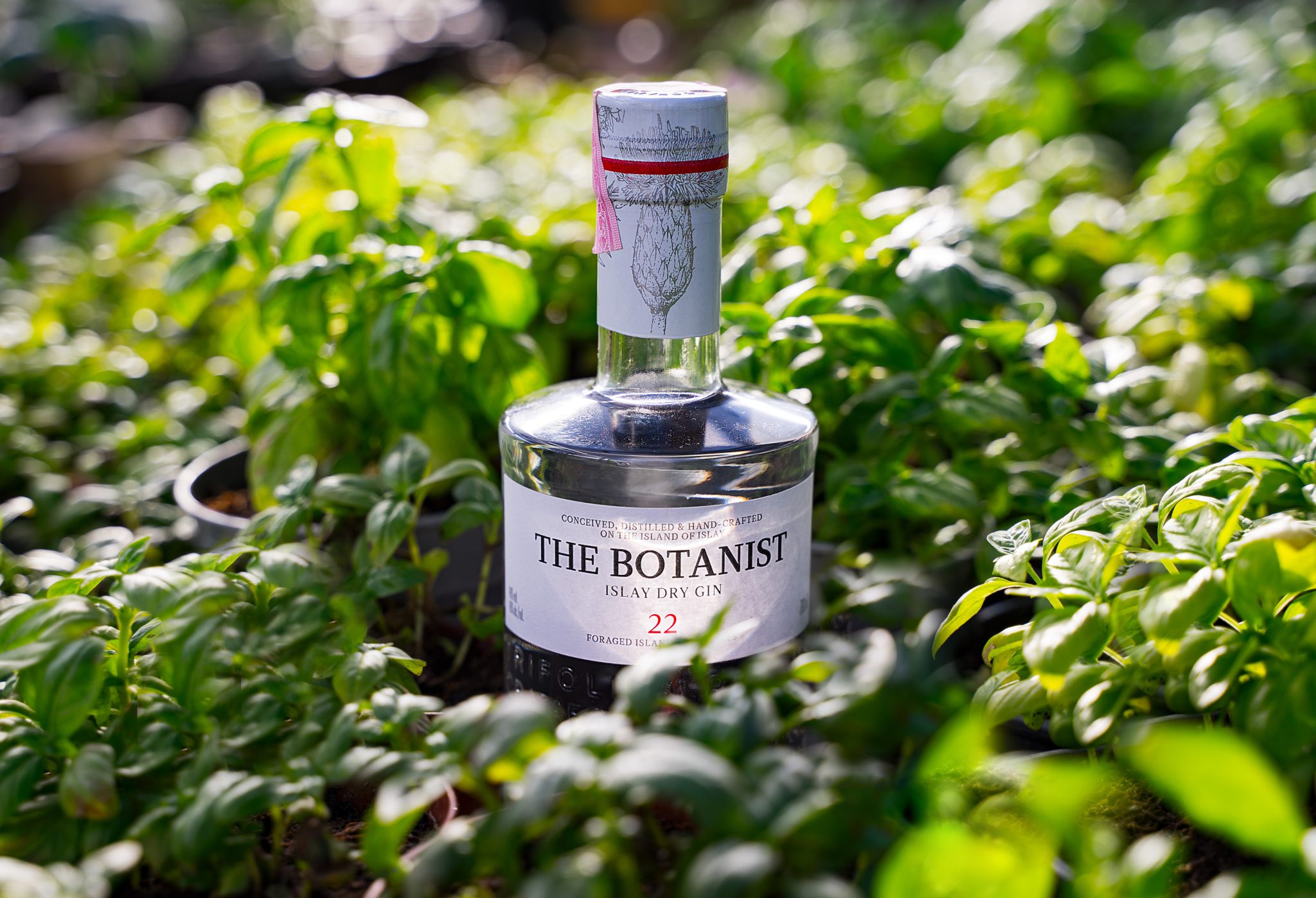 Botanist Gin Price Guide - Wine and Liquor Prices